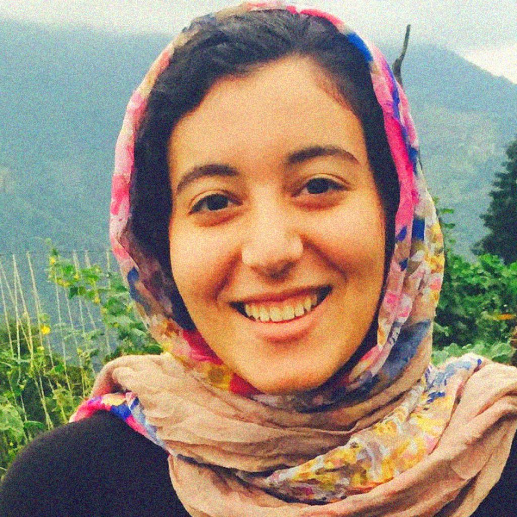 Alumini Testimonials – Sinan Wren Foundation